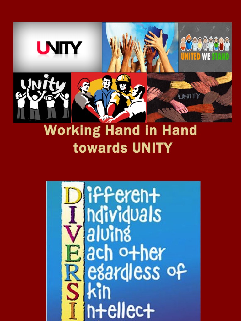 Building Unity in Diversity: 5 Strategies | PDF