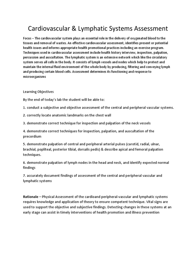 Cardiovascular Worksheet | PDF | Circulatory System | Pulse