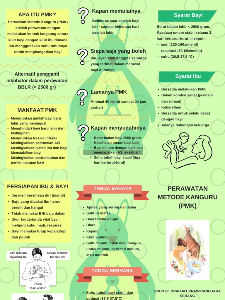 Leaflet PMK | PDF