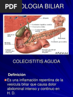 Hidrocolecisto y Piocolecisto: Definición y Tratamiento | PDF