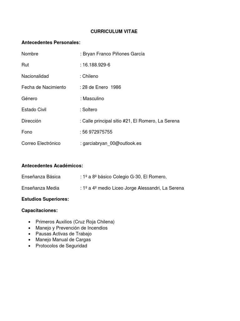 Curriculum Brayan | PDF