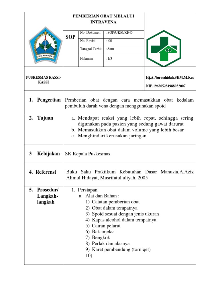 Pemberian Obat Melalui Intravena | PDF