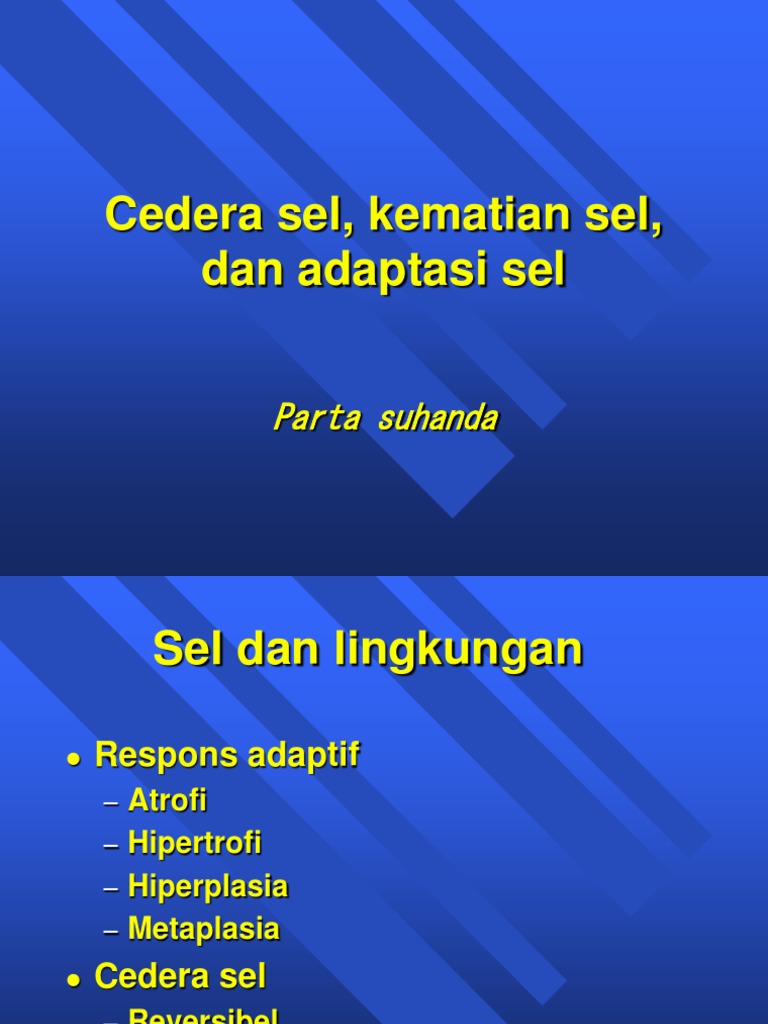 02a Cedera Sel | PDF