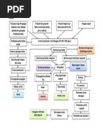 Woc Antepartum Bleeding | PDF