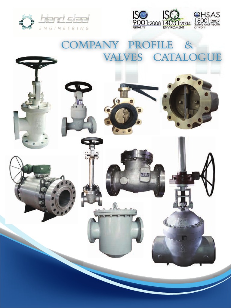Profile of BSE | Valve | Mechanical Engineering