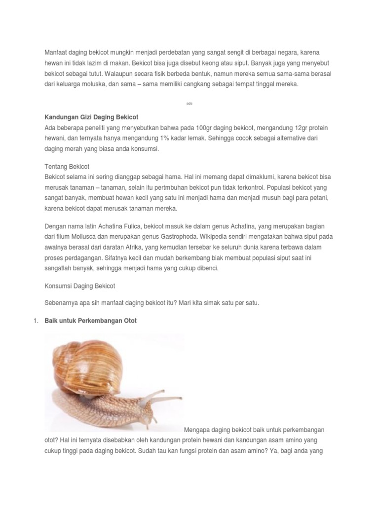 Bekicot | PDF | Kesehatan Holistik