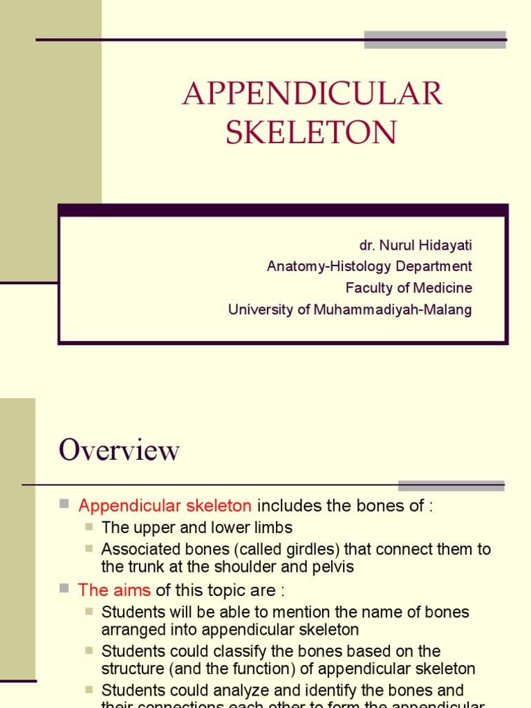 Appendicular Skeleton | Download Free PDF | Pelvis | Shoulder