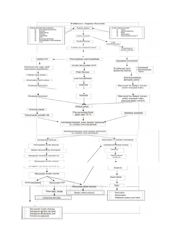 Angina Pectoris Pathway | PDF