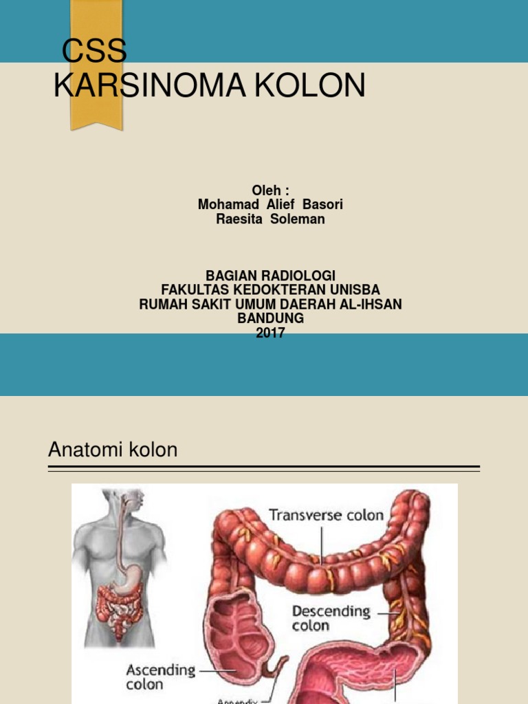 CSS - CA Colon | PDF
