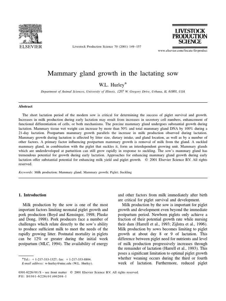 Mammary Gland Growth in The Lactating Sow: W.L. Hurley | PDF | Domestic ...