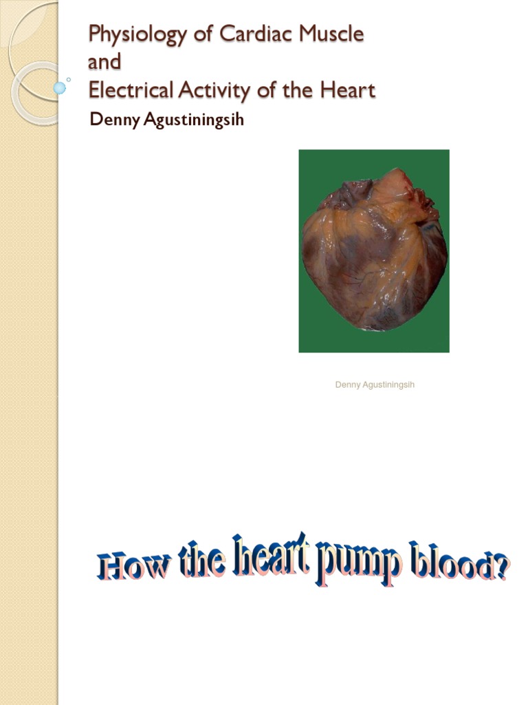 Physiology of Cardiac Muscle and Electrical Activity of The Heart | PDF ...