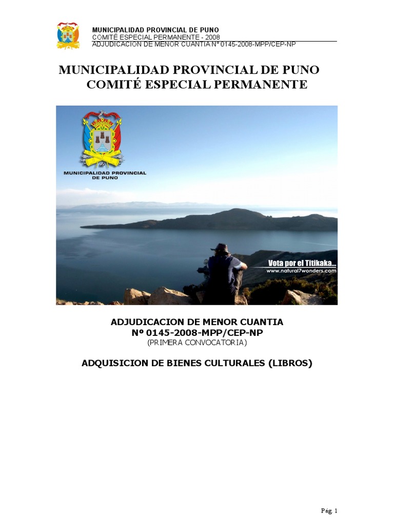 MC 145 2008 MPP - Cep - NP Bases 1 | PDF | Empresas de servicios | Business