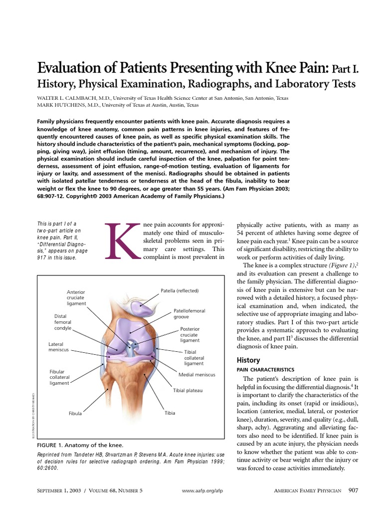 Knee Pain H and P PDF | PDF | Knee | Musculoskeletal System
