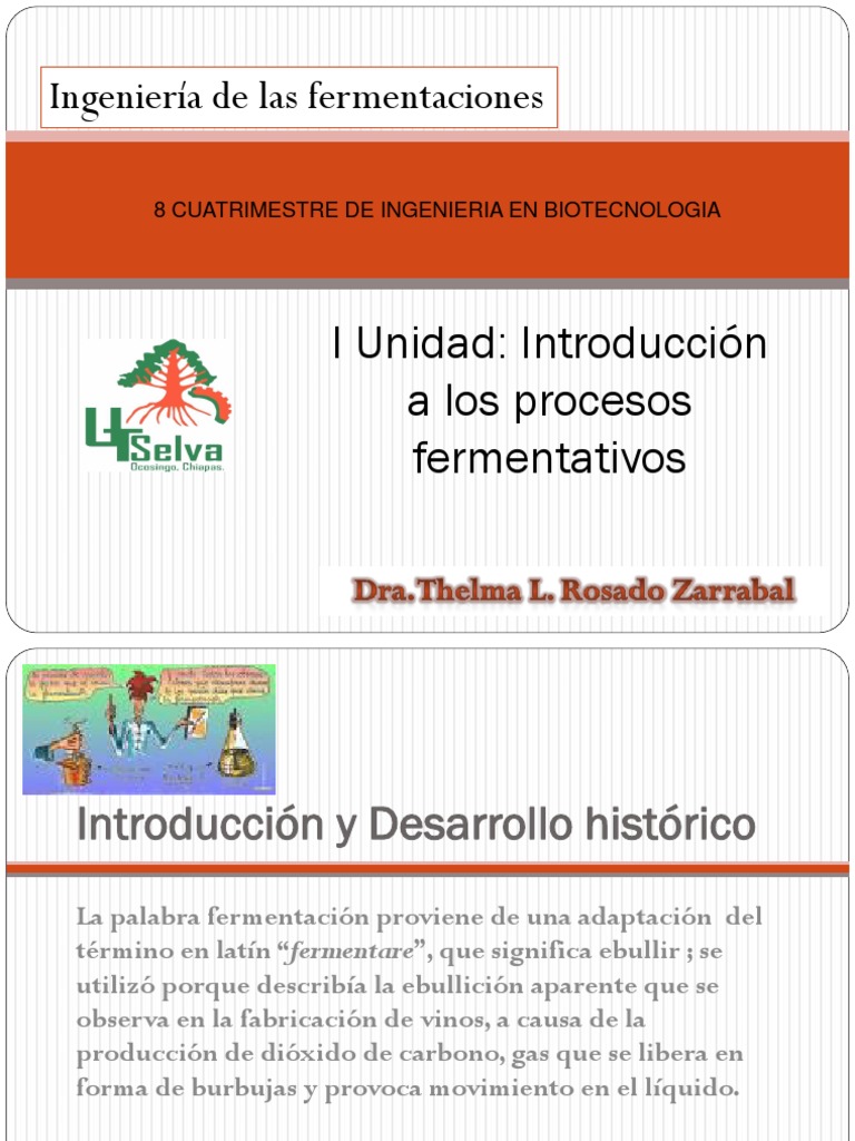 Procesos Fermentativos | PDF | Fermentación | Enzima