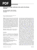 Carrot Origins and Historical Evolution | PDF | Carrot | Plants