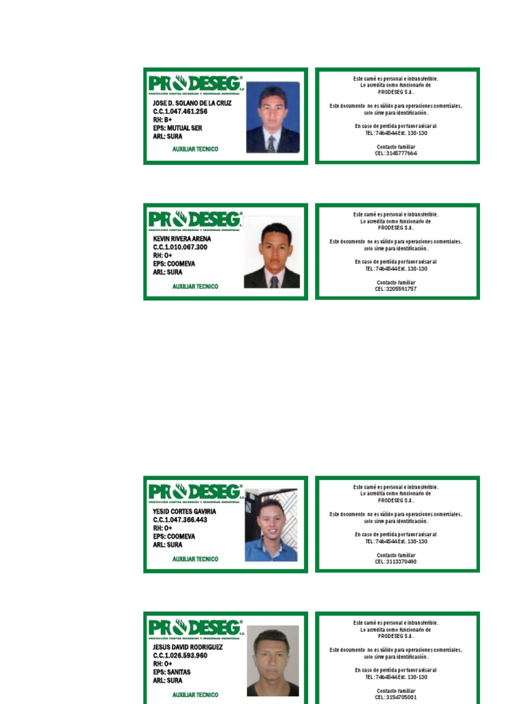 Formato de Carnet | PDF