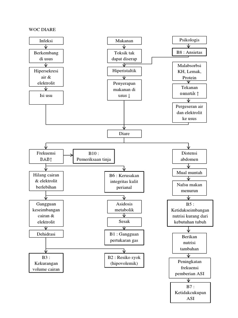 Woc Diare | PDF
