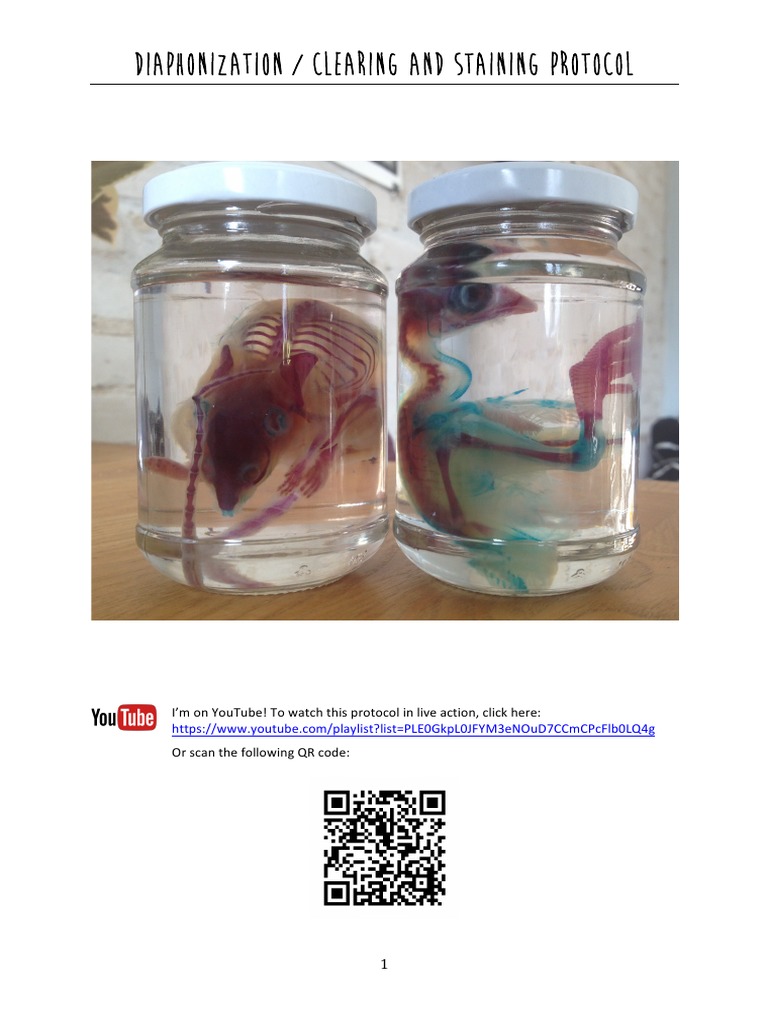 Diaphonization / Clearing and Staining Protocol | Fixation (Histology ...