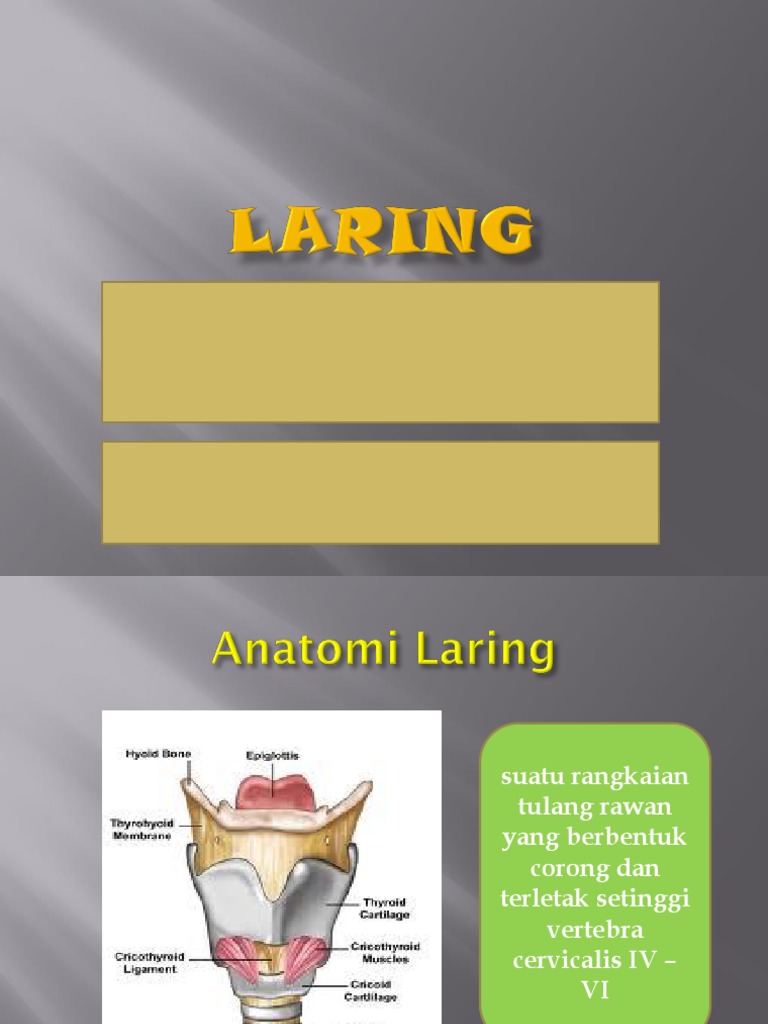 Anatomi dan Fungsi Laring Manusia | PDF | Sains & Matematika
