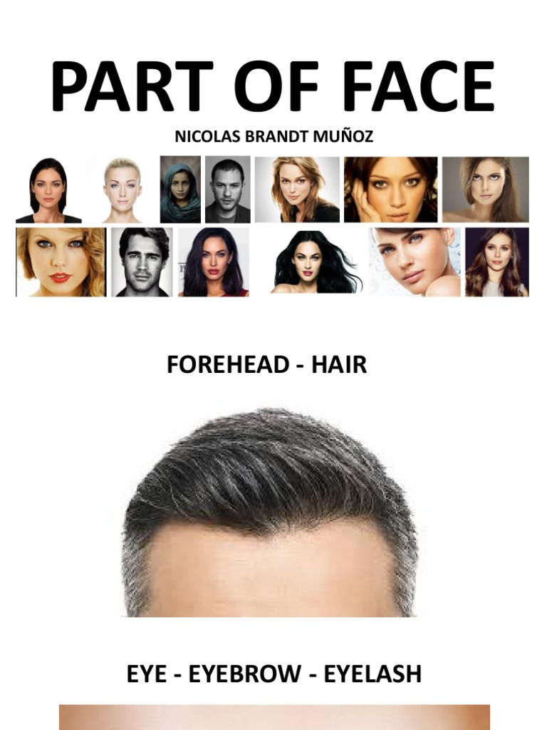 Part of Face: Nicolas Brandt Muñoz | PDF