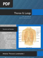 Chest Retraction | PDF | Thorax | Breathing