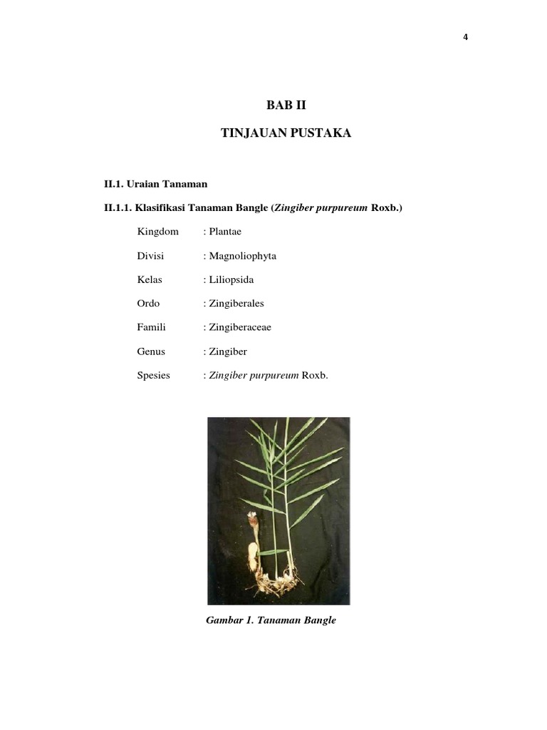 BAB II Ekstrak Etanol Rimpang Bangle | PDF