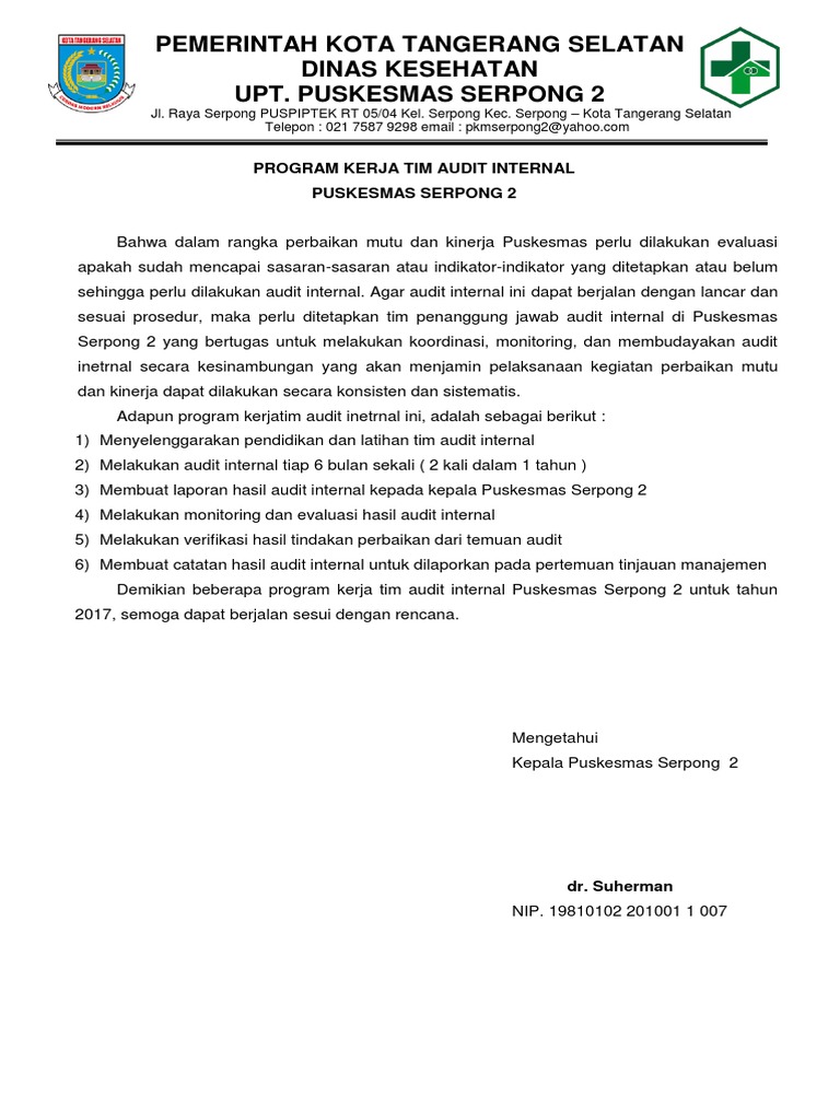 Program Kerja Audit Internal | PDF
