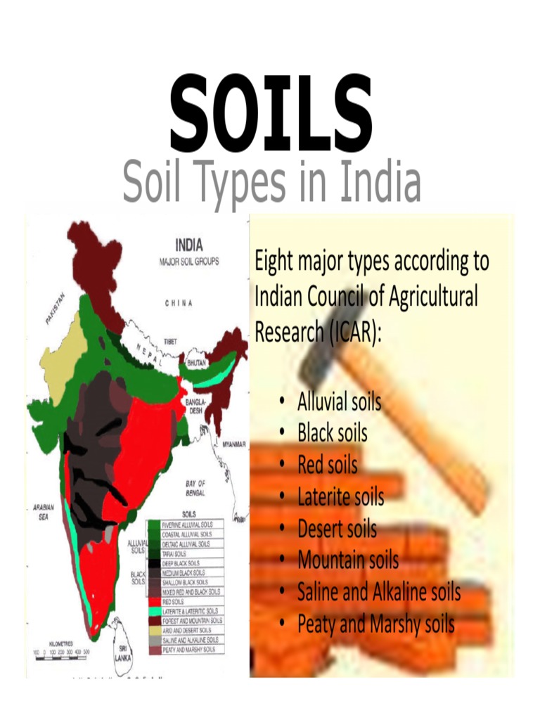 Soil Types in India: Soils | PDF