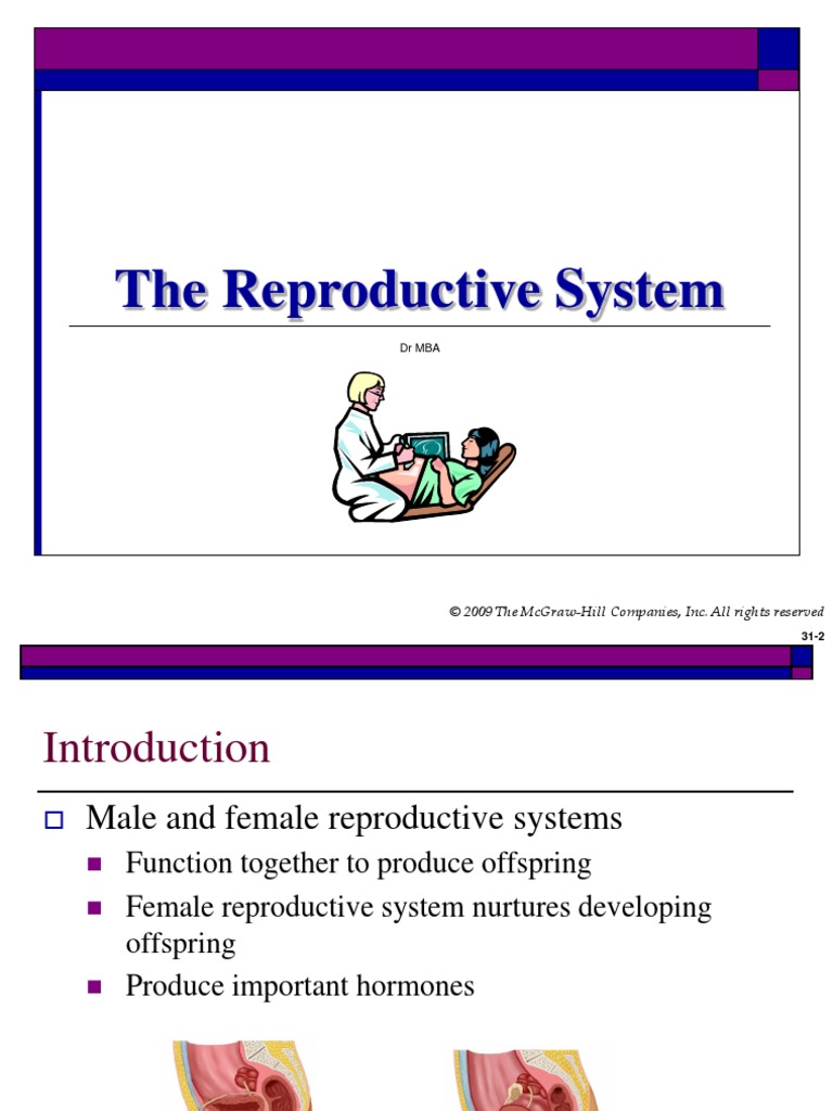 The Reproductive System: © 2009 The Mcgraw-Hill Companies, Inc. All ...
