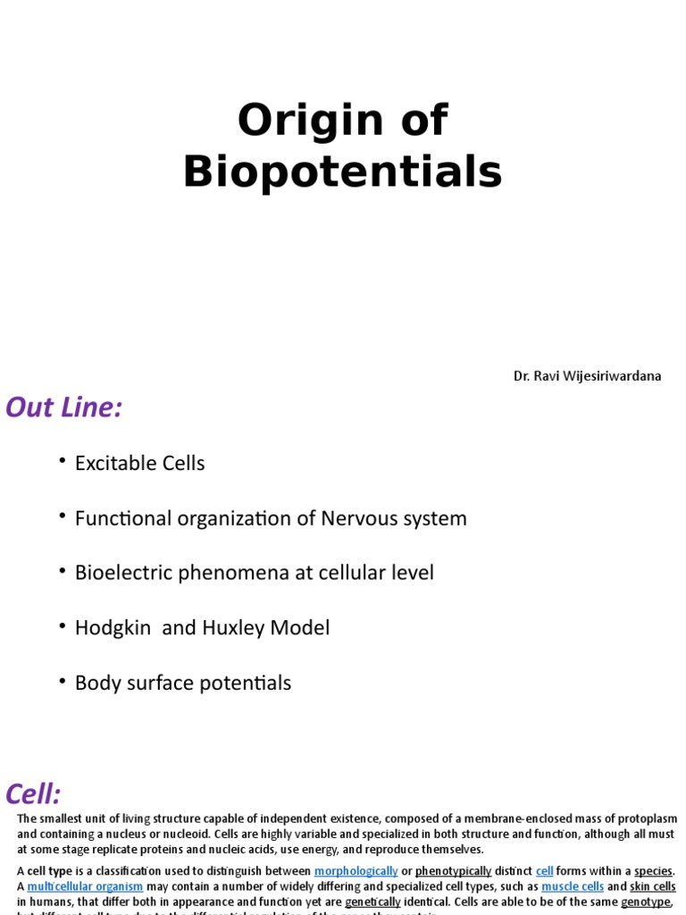 Origin of Biopotentials-2 (2) 3 | PDF | Brainstem | Membrane Potential
