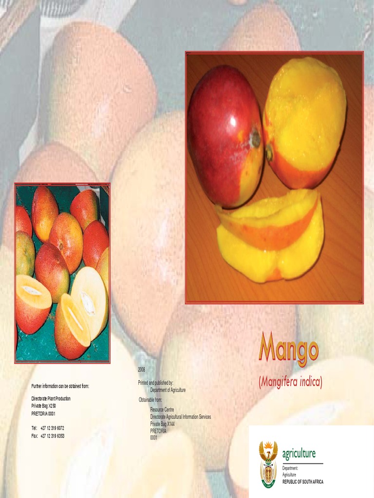 Mango Cultivation and Care Guide | PDF | Mango | Soil