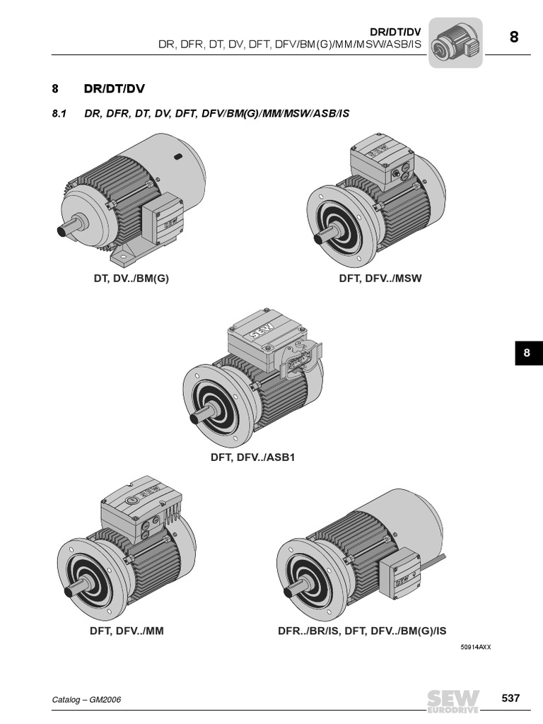 8 DR/DT/DV: 8.1 DR, DFR, DT, DV, DFT, DFV/BM (G) /Mm/Msw/Asb/Is | PDF ...