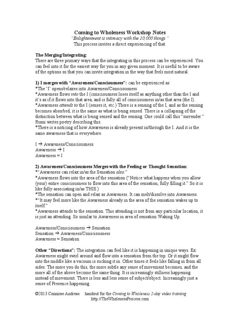 Wholeness Process 3 Types Integration | PDF | Awareness | Consciousness