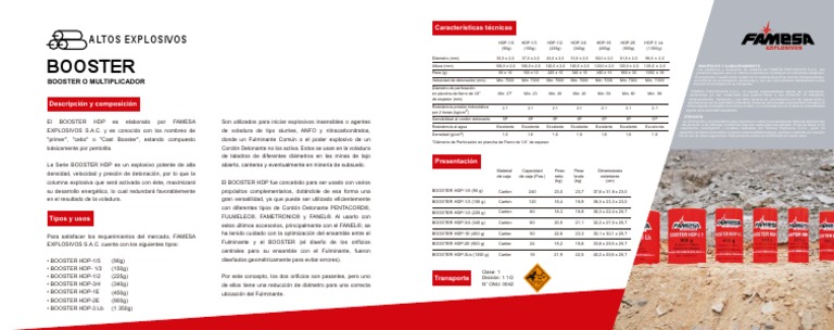 FT 21. Booster PDF | PDF | Material explosivo | Seguridad y salud ...