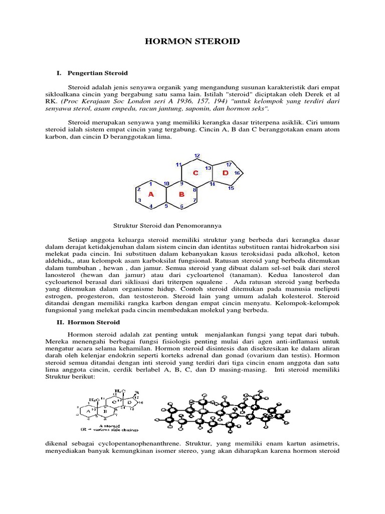 Hormon Steroid Paper | PDF