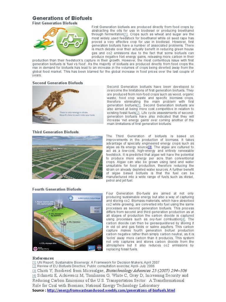 Biofuels Worksheet | Download Free PDF | Algae Fuel | Biofuel