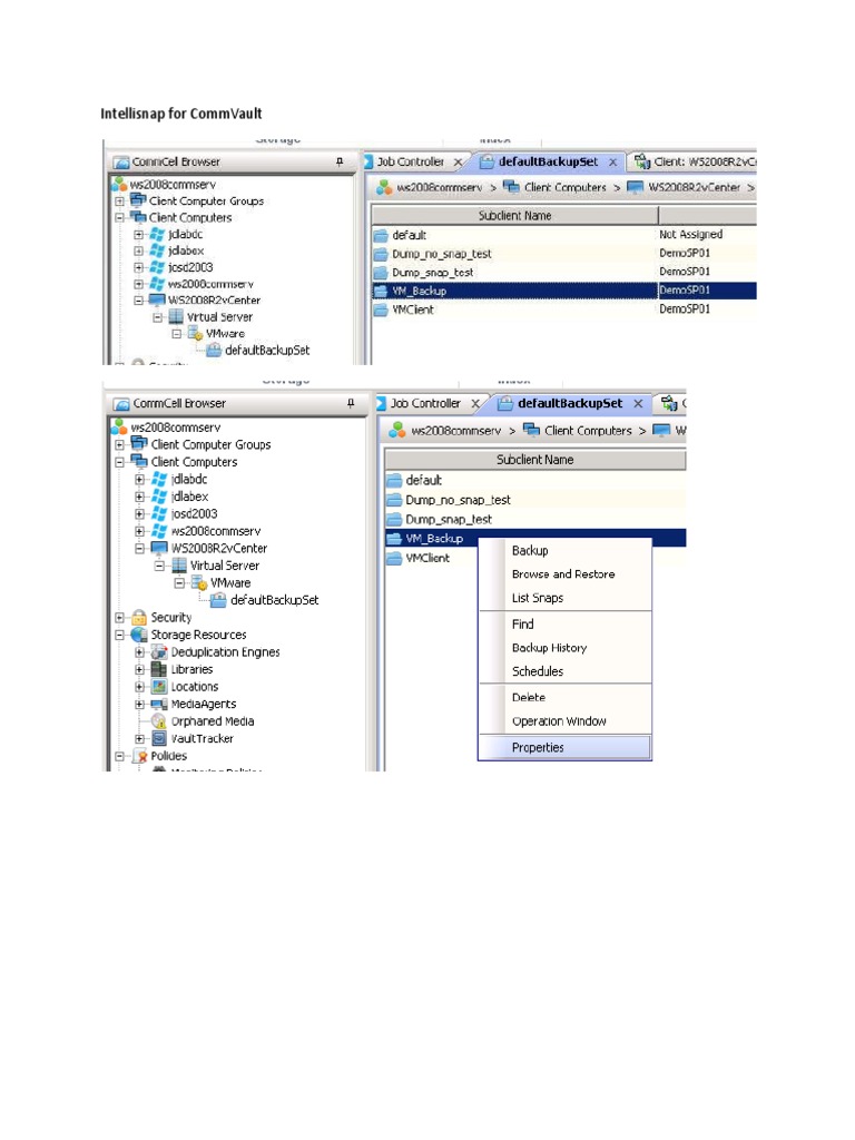 Intellisnap Guide for IT Professionals | PDF | Computers