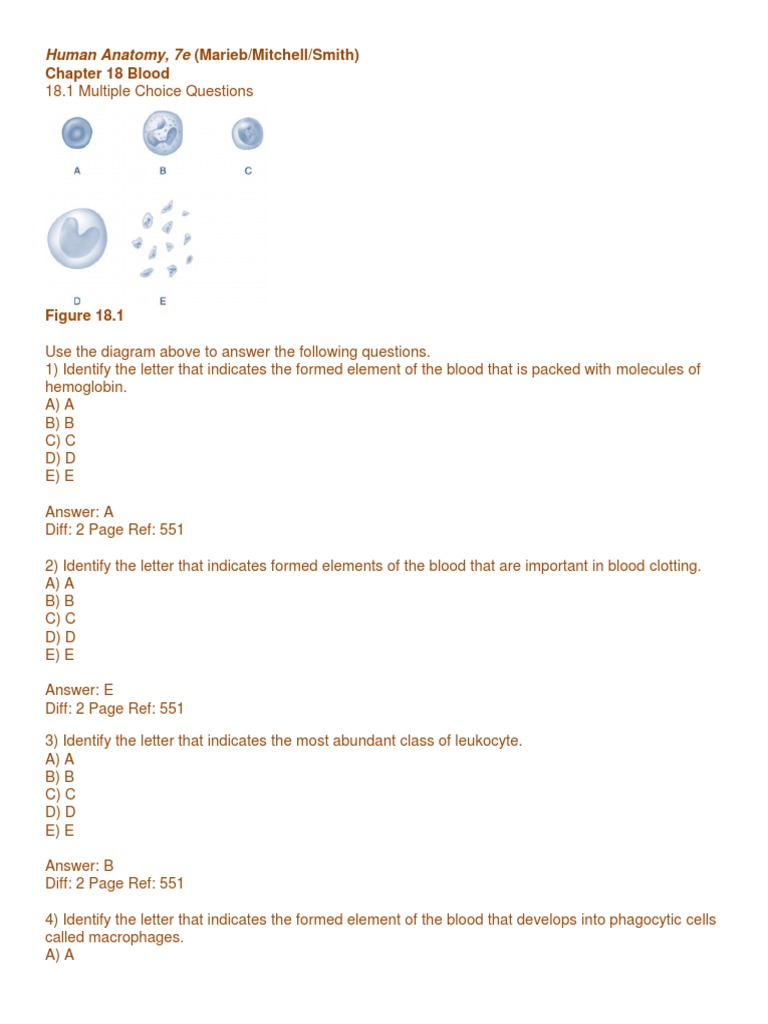 Blood Anatomy and Physiology Review | PDF | White Blood Cell | Red ...
