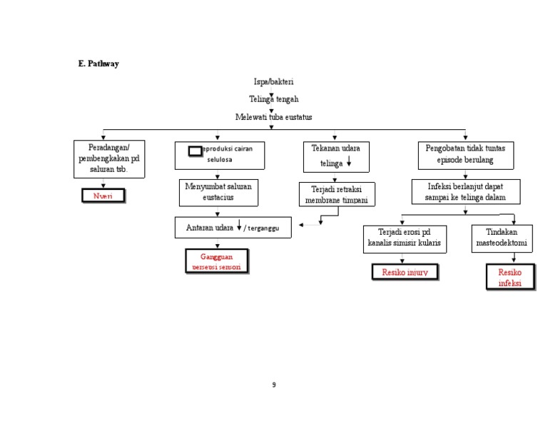 Pathway Otitis Media | PDF