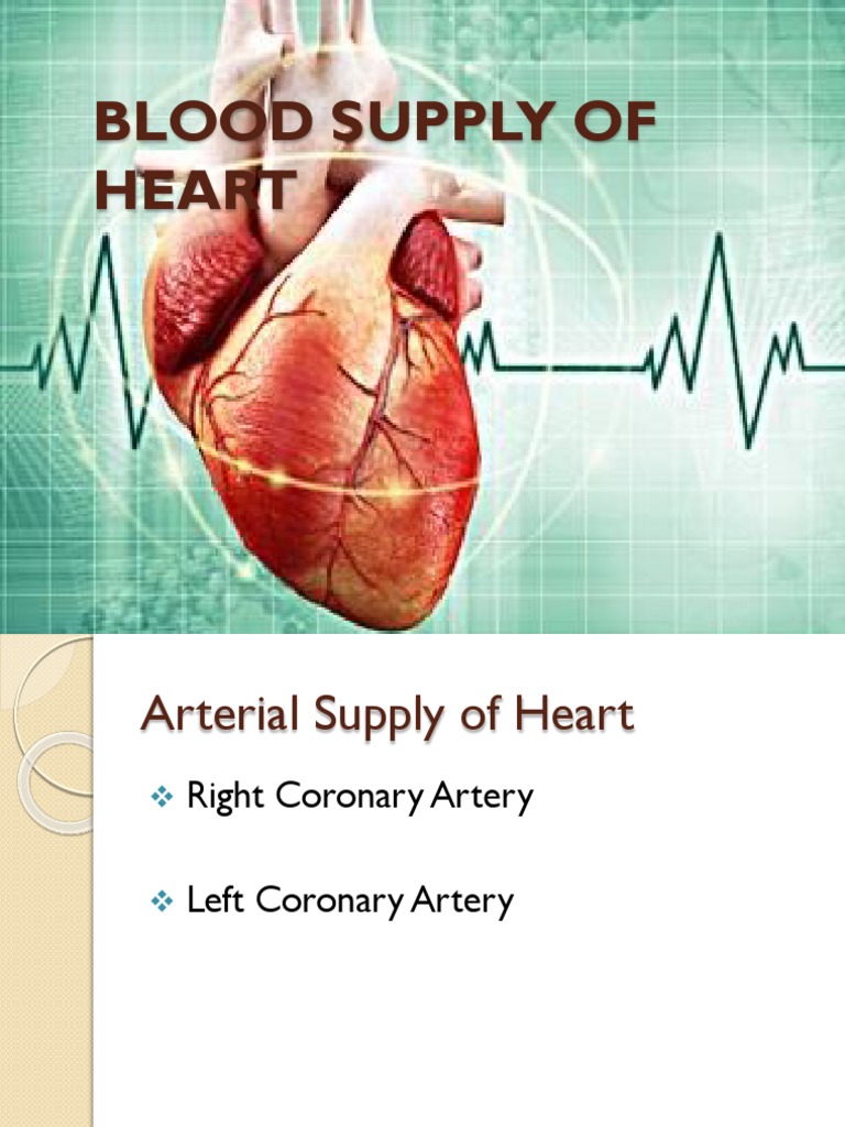 Blood Supply of Heart | Coronary Circulation | Aorta