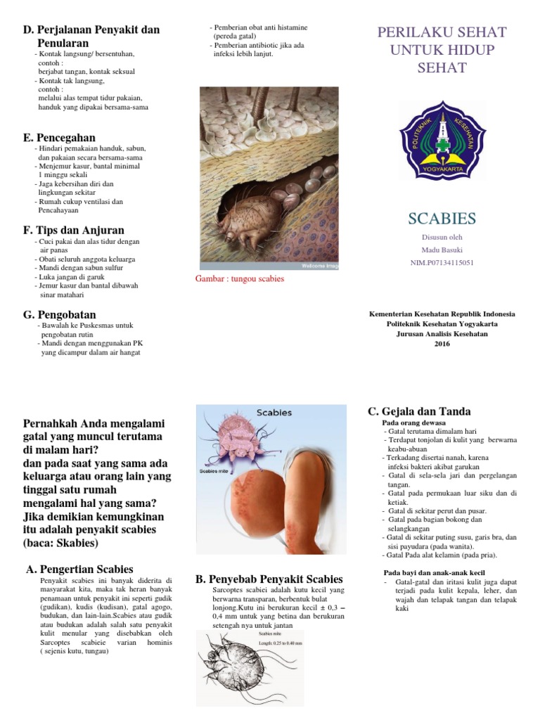 Leaflet Scabies | PDF