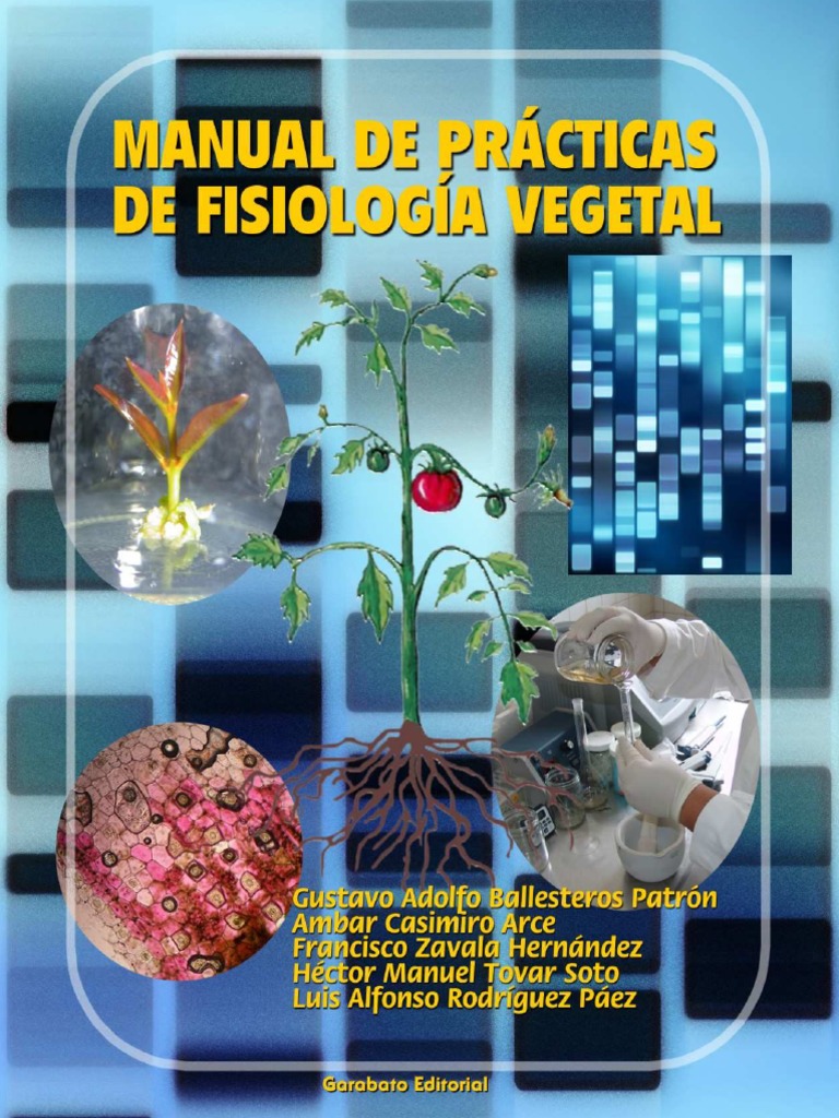 Manual de Practicas de Fisiologia Vegetal PDF | PDF | Raíz | Germinación