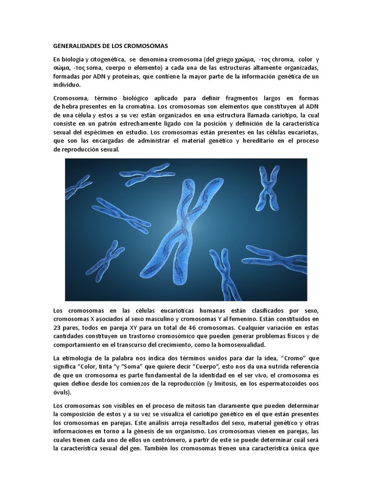 Generalidades de Los Cromosomas | PDF | Cromosoma | Mitosis