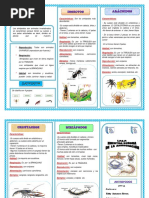 TRIPTICO INSECTOS | Insectos | Mosca