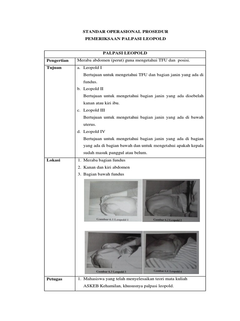 Standar Operasional Prosedur Pemeriksaan | PDF