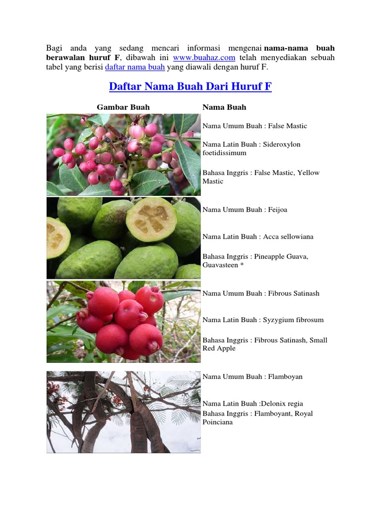 Daftar Buah Berawalan Huruf F | PDF
