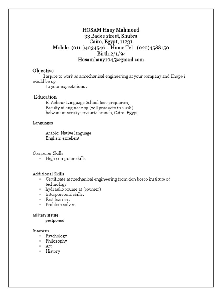 Hosam's CV | PDF | Art