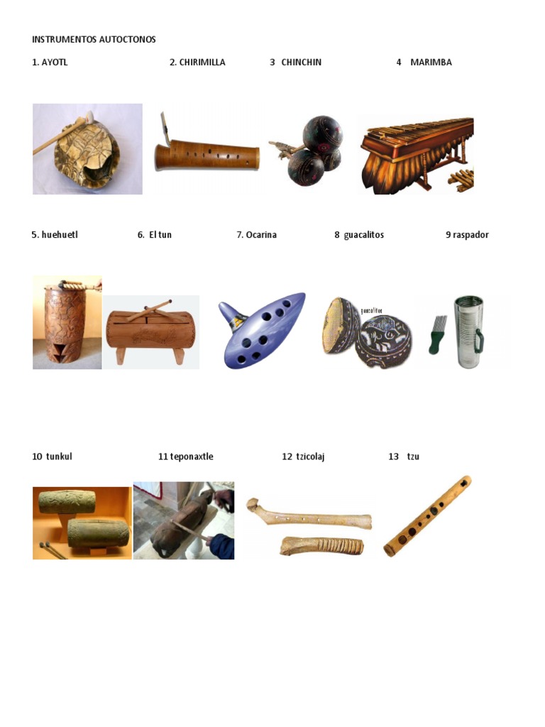 INSTRUMENTOS AUTOCTONOS