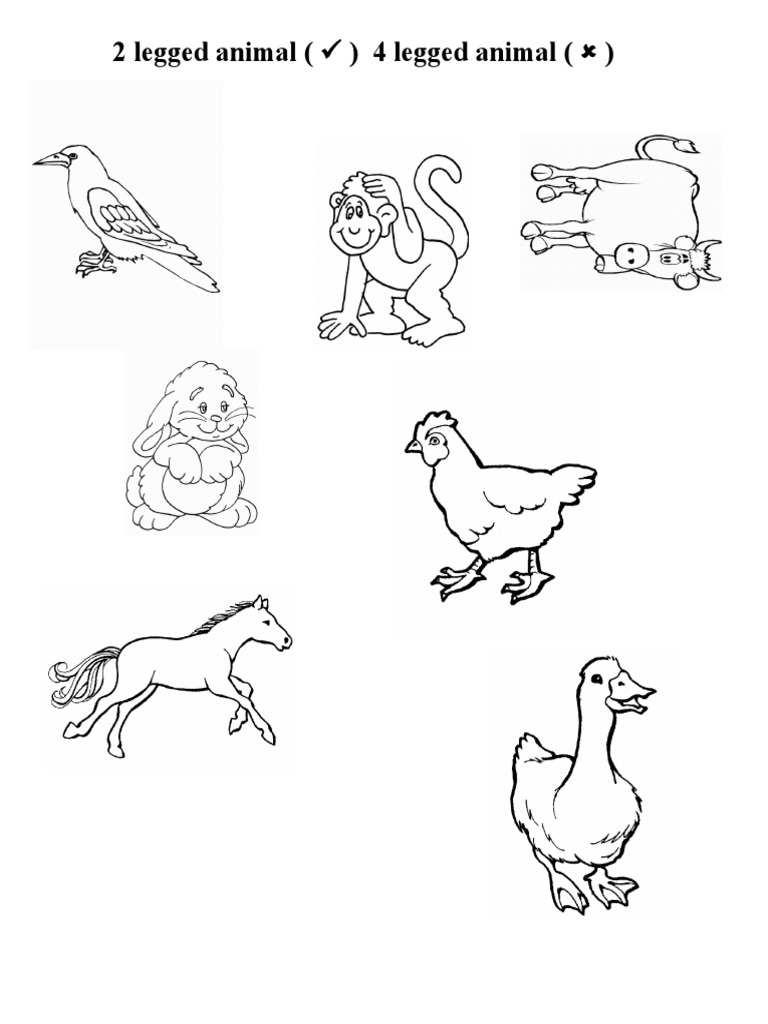2 Legged Animal ( ) 4 Legged Animal ( ) | PDF