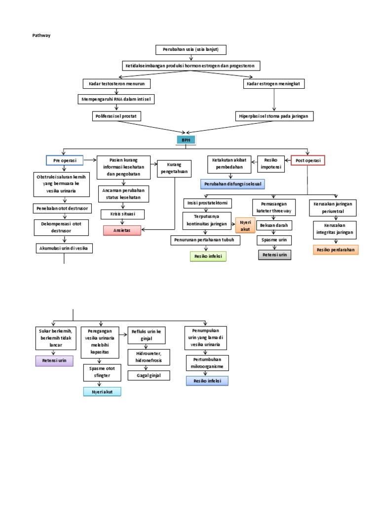 Pathway BPH dan Retensi Urin | PDF